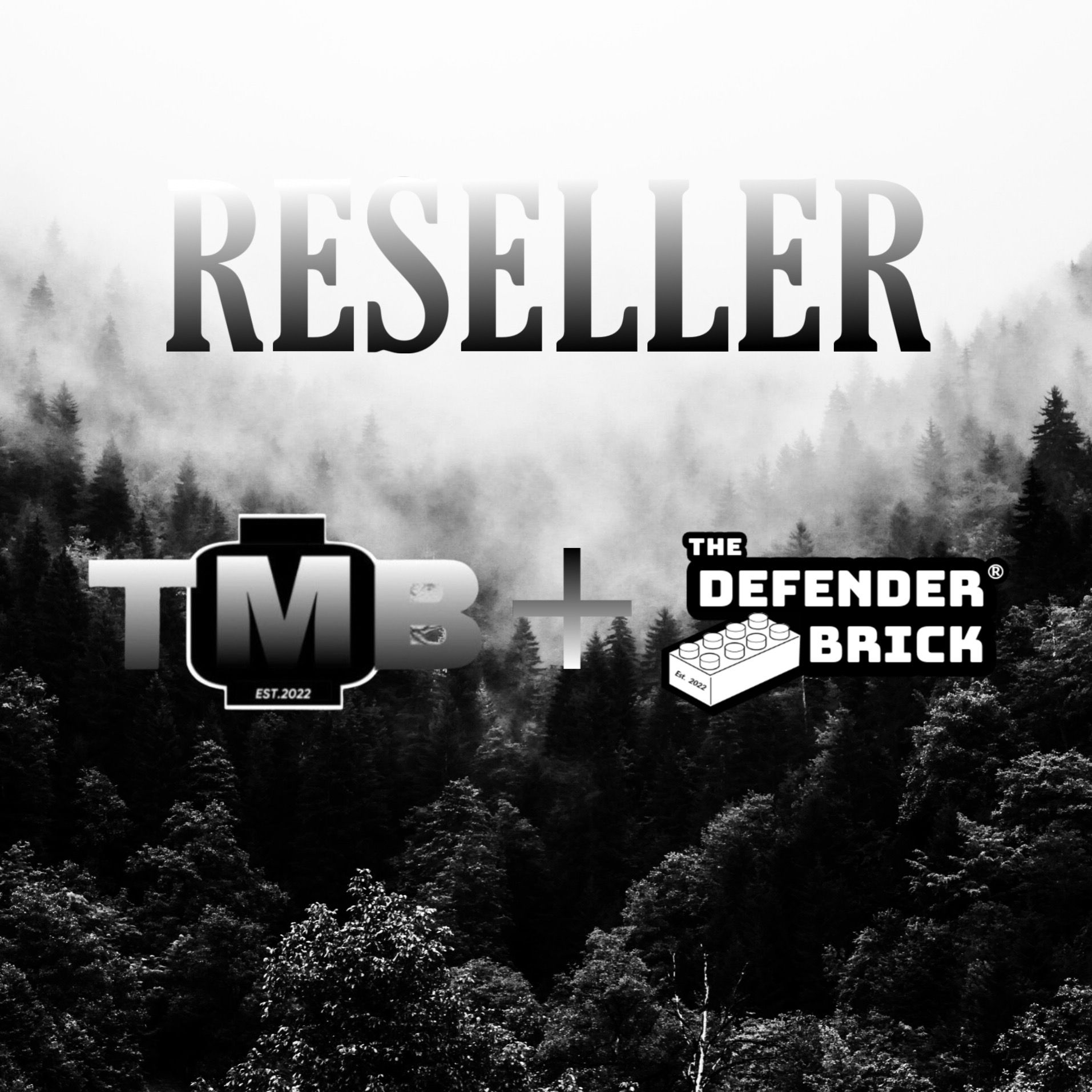 Minifigs & Accessories – The Defender Brick®